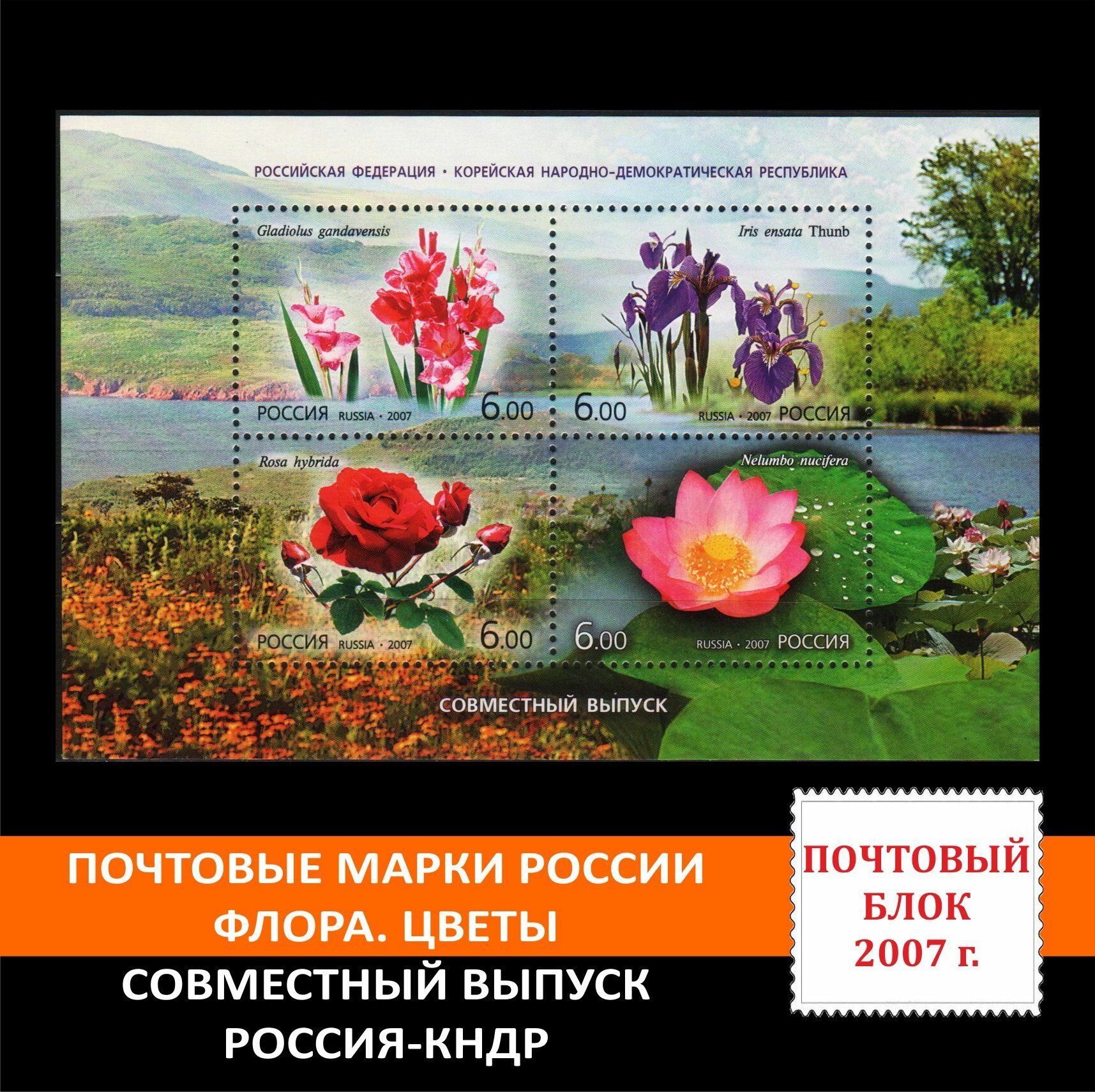 Почтовые марки России Флора. Цветы Почтовый блок 2007 года выпуска