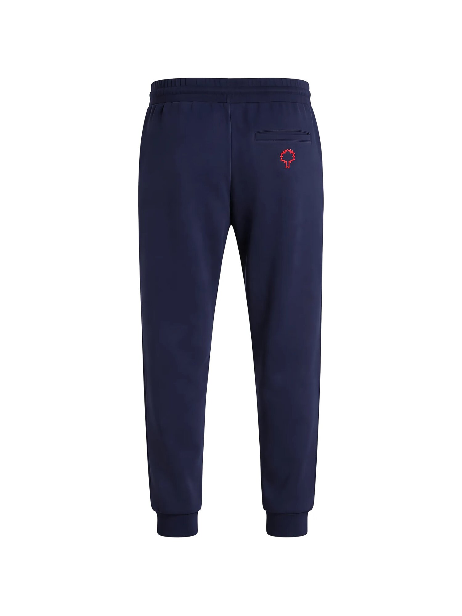 Брюки Pal Zileri Drawstring track pants, размер 50, синий — фото 1