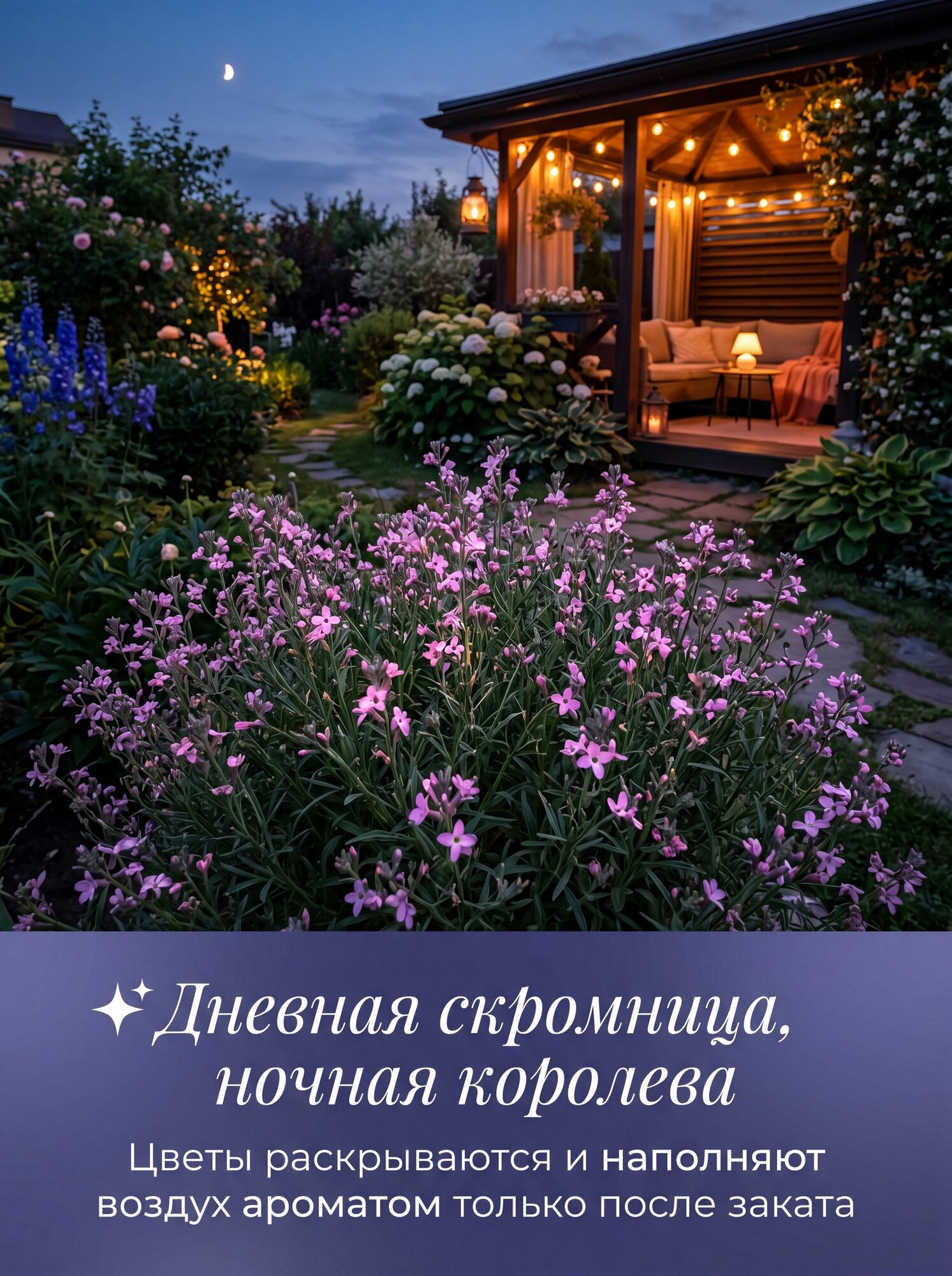 Семена Маттиола двурогая Царица Ночи (Ночная фиалка, Левкой) Matthiola bicornis аромат 0,2 г