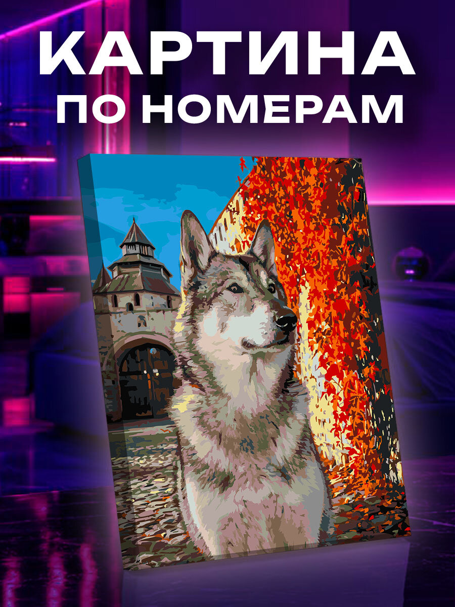 Картина по номерам Лайка на фоне кремля и яркой листвы