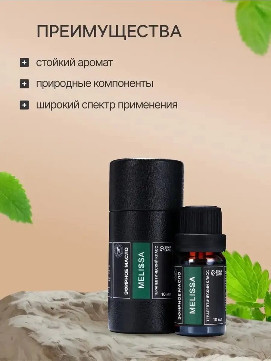 Свежий аромат мелиссы для домашнего уюта