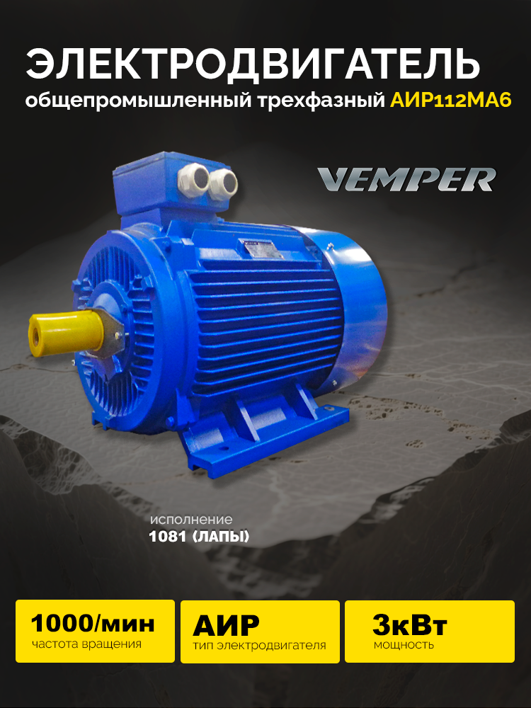 Электродвигатель трехфазный общепромышленный VEMPER АИР112МА6 3кВт 1000об/мин (исполнение лапы)