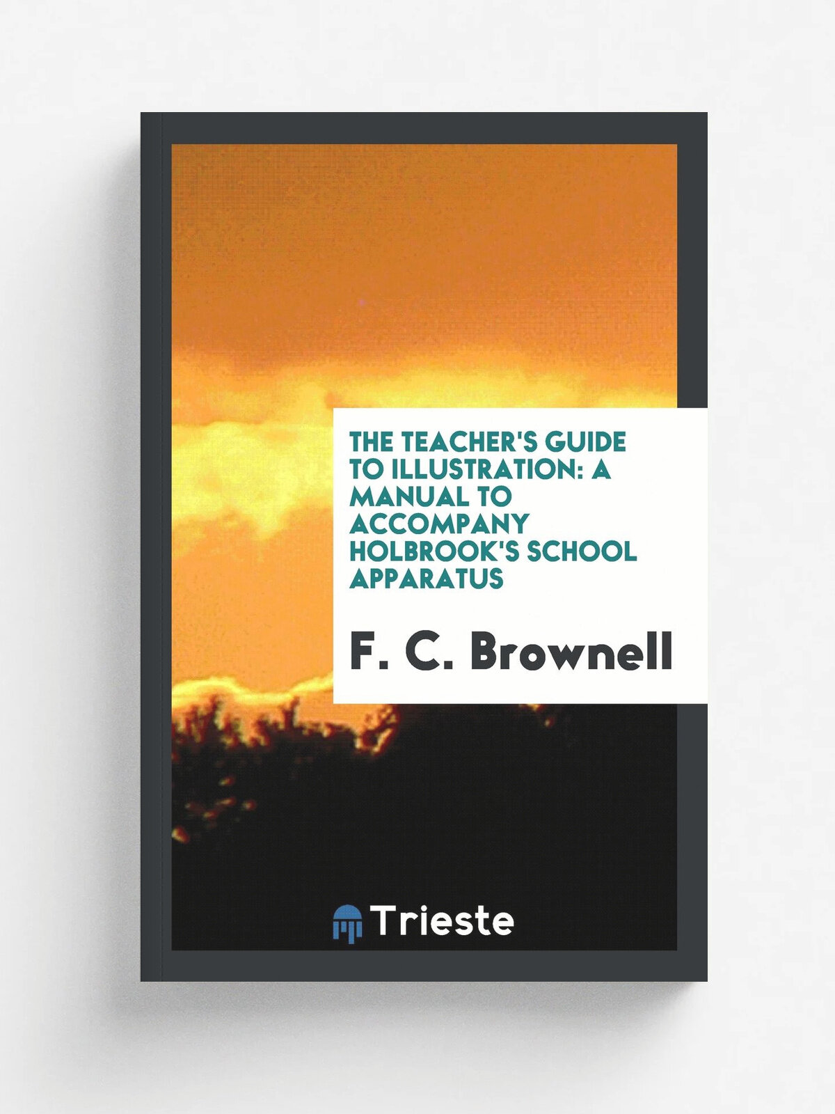 The Teacher's Guide to Illustration. A Manual to Accompany Holbrook's School Apparatus