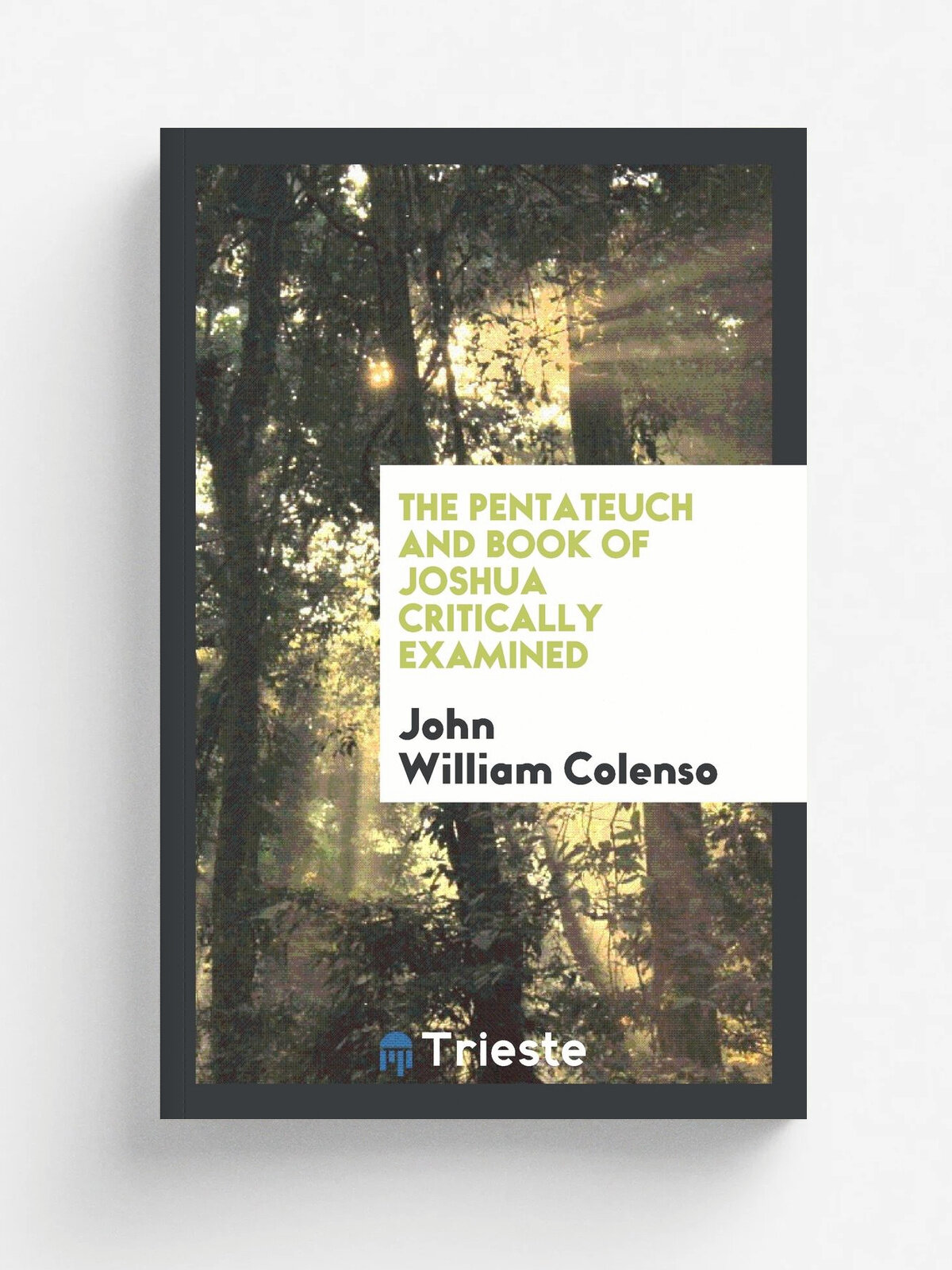 The Pentateuch and book of Joshua critically examined