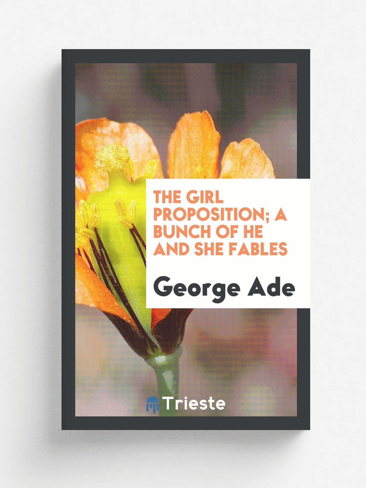 The girl proposition; a bunch of he and she fables