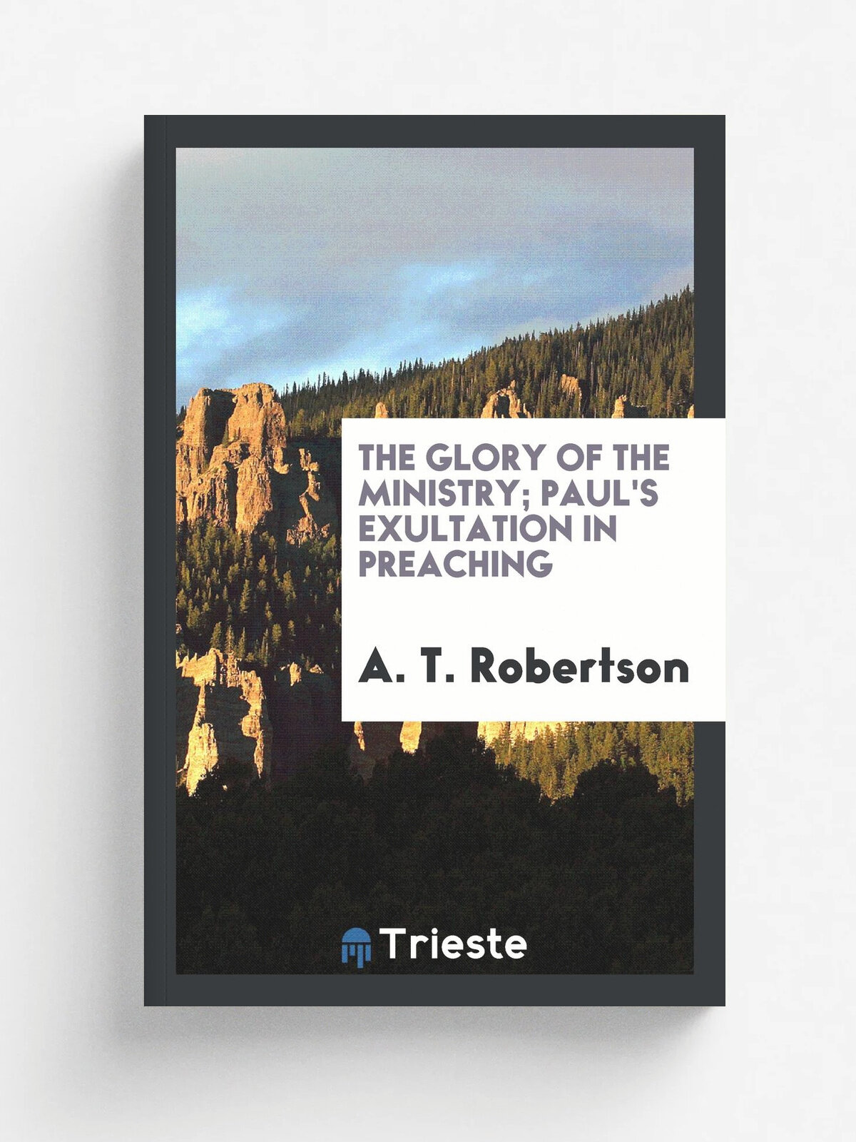 The glory of the ministry; Paul's exultation in preaching