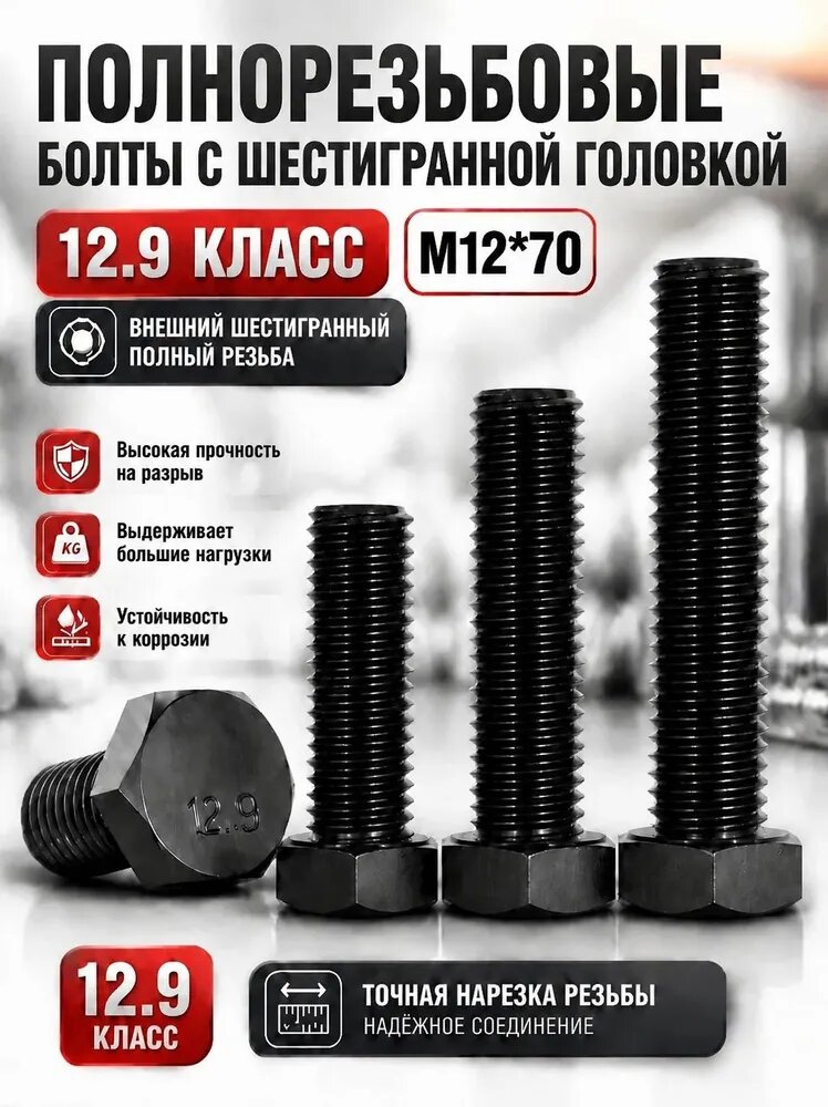 Болт 12 x 70 мм, головка: Шестигранная, 5 шт. 320 г