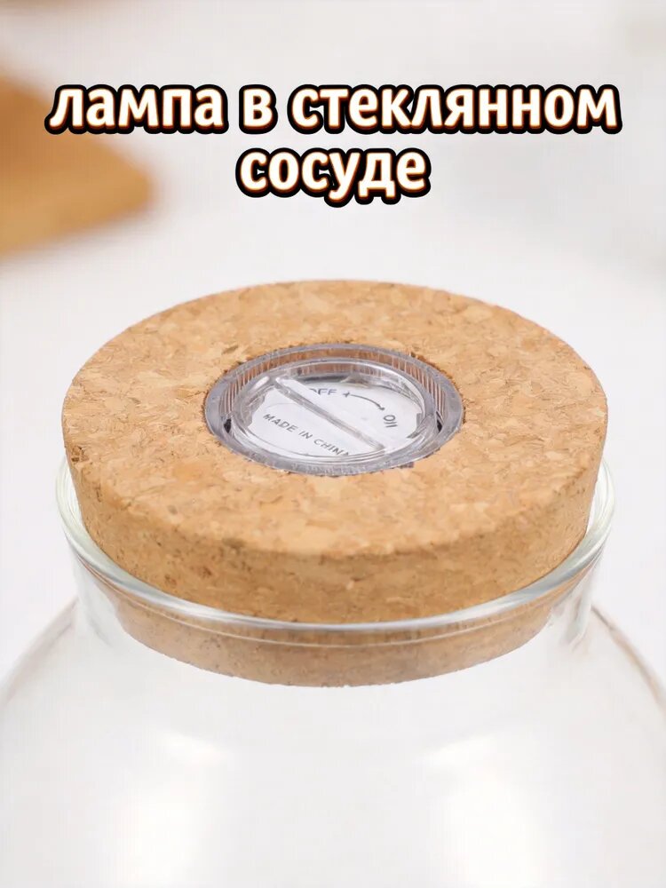 Стеклянная экосистема с светодиодной подсветкой из боросиликатного стекла и дерева для домашнего декора