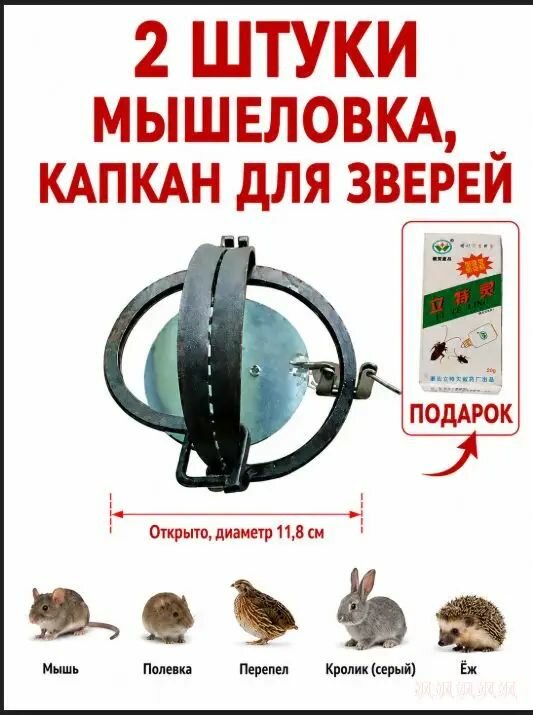 Крысолов