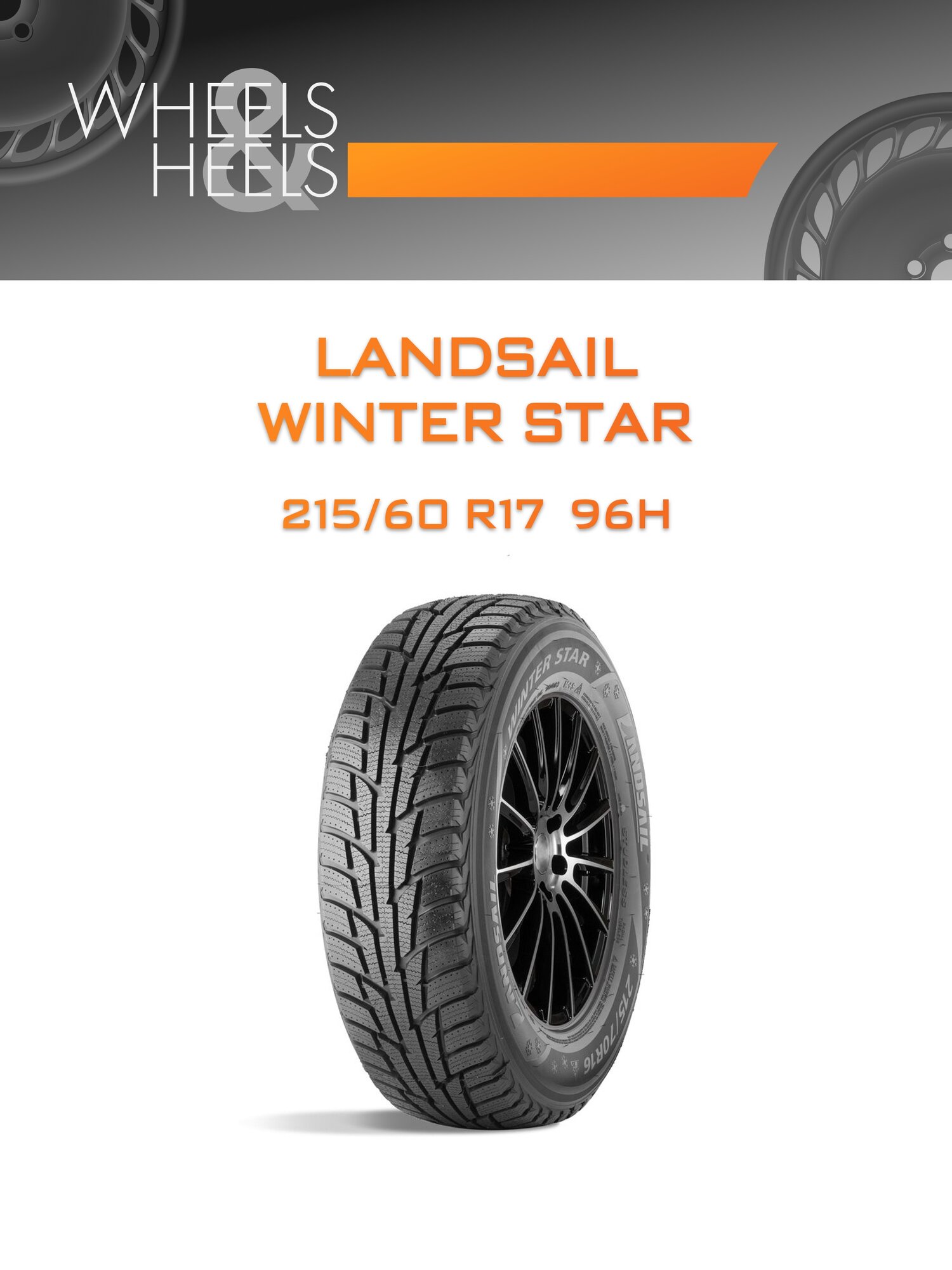 Шина автомобильная Landsail WINTER STAR 215/60 R17 96H WINTER, зимняя, универсальная