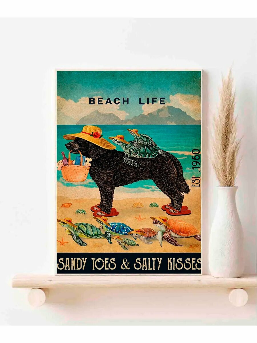 Португальская водяная собака, Beach Life 1960, Плакат 30x42