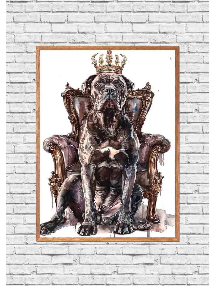 Собака Кане Корсо Английский король 1, Плакат 30x42см