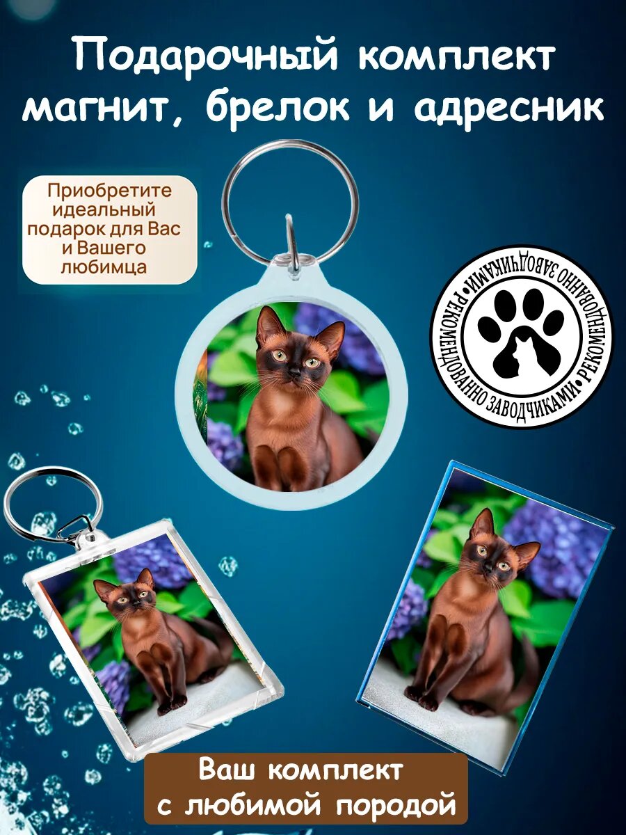 Подарочный комплект магнит брелок адресник
