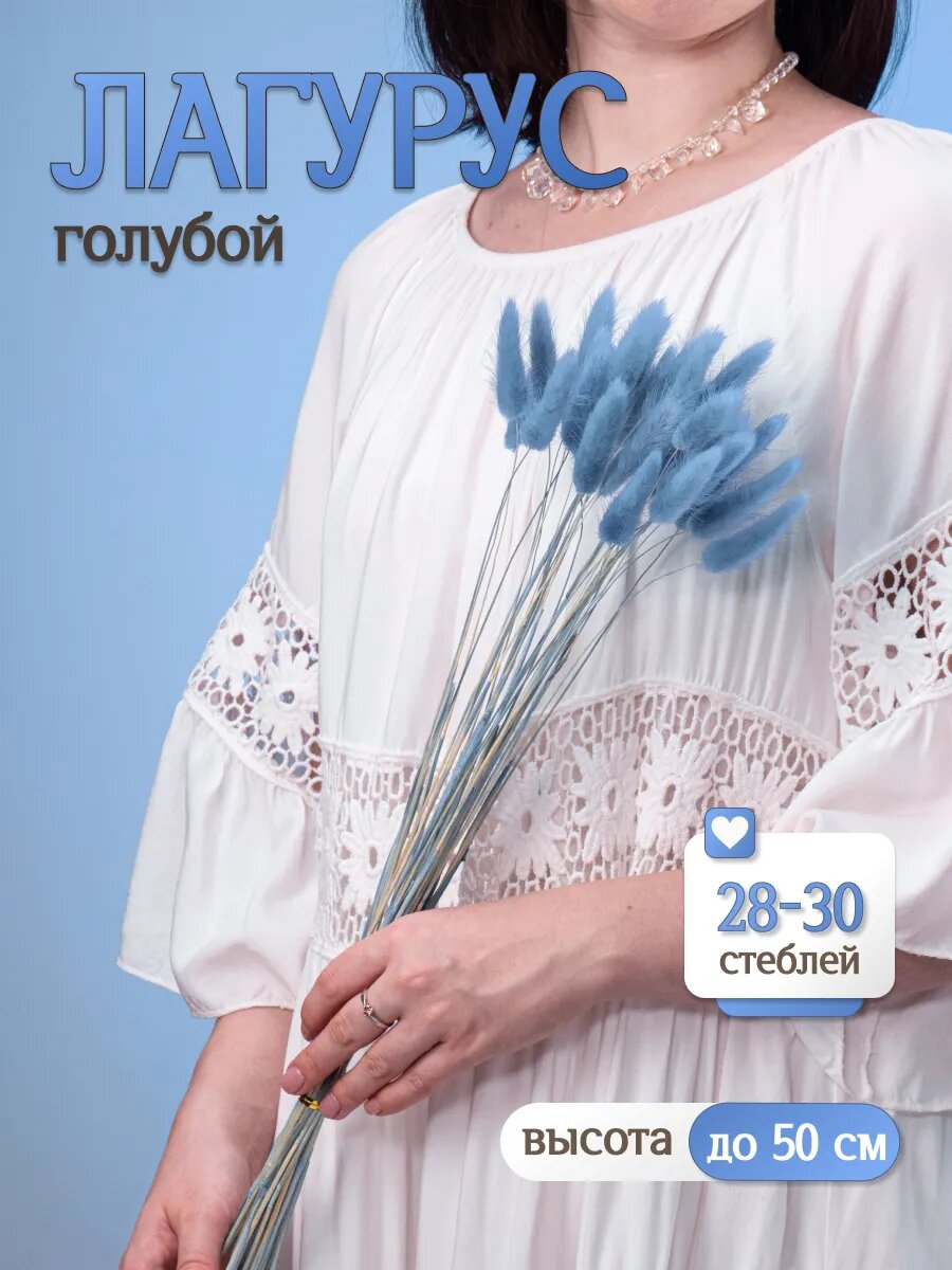 Лагурус голубой 30 шт, сухоцветы голубые для декора
