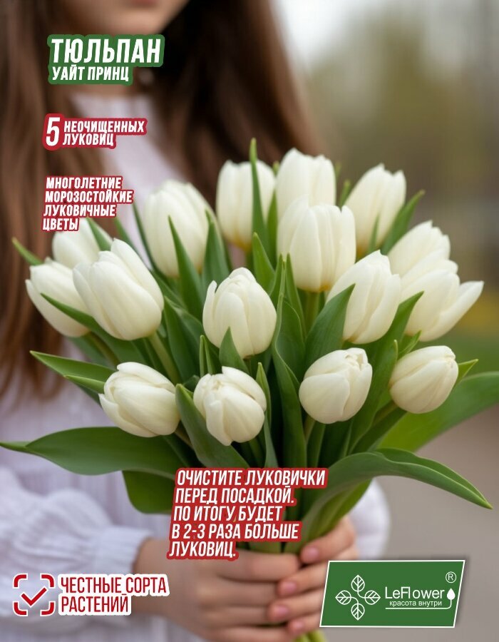 Тюльпан LeFlower "Уайт Принц", многолетник, высота 40 см, 5 луковиц