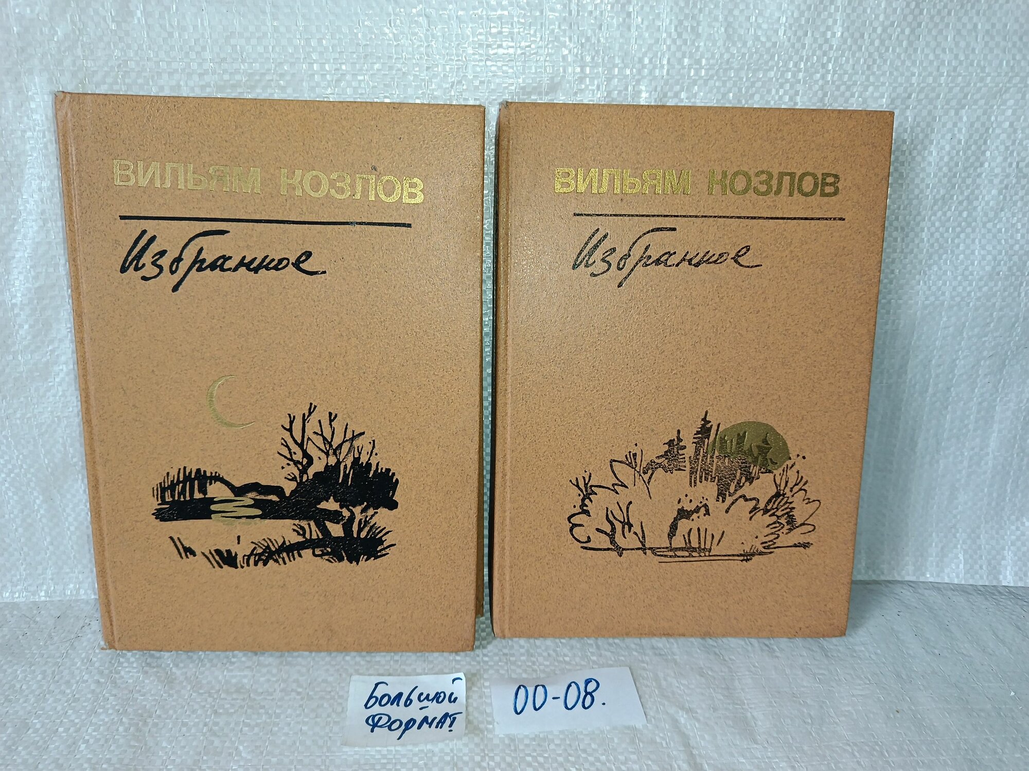 Вильям Козлов. Избранное. В 2 томах (комплект из 2 книг)