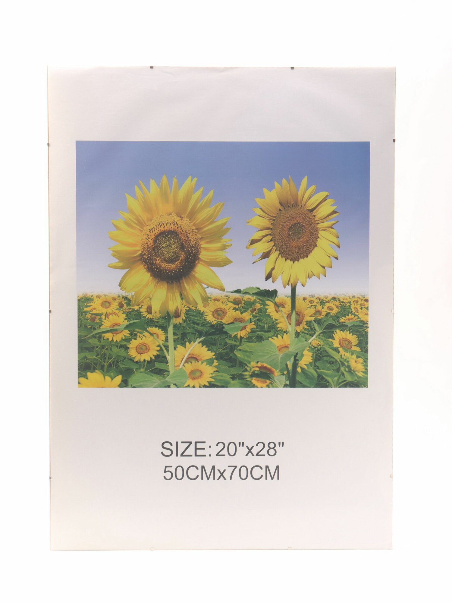 Фоторамка прозрачная для фото 50x70 см, "Клип", пластиковый экран