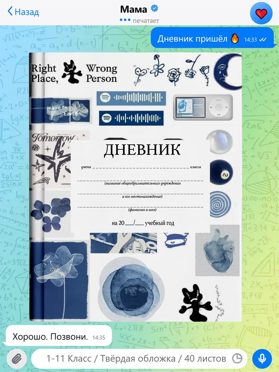 Школьный дневник с принтом y2k pinterest