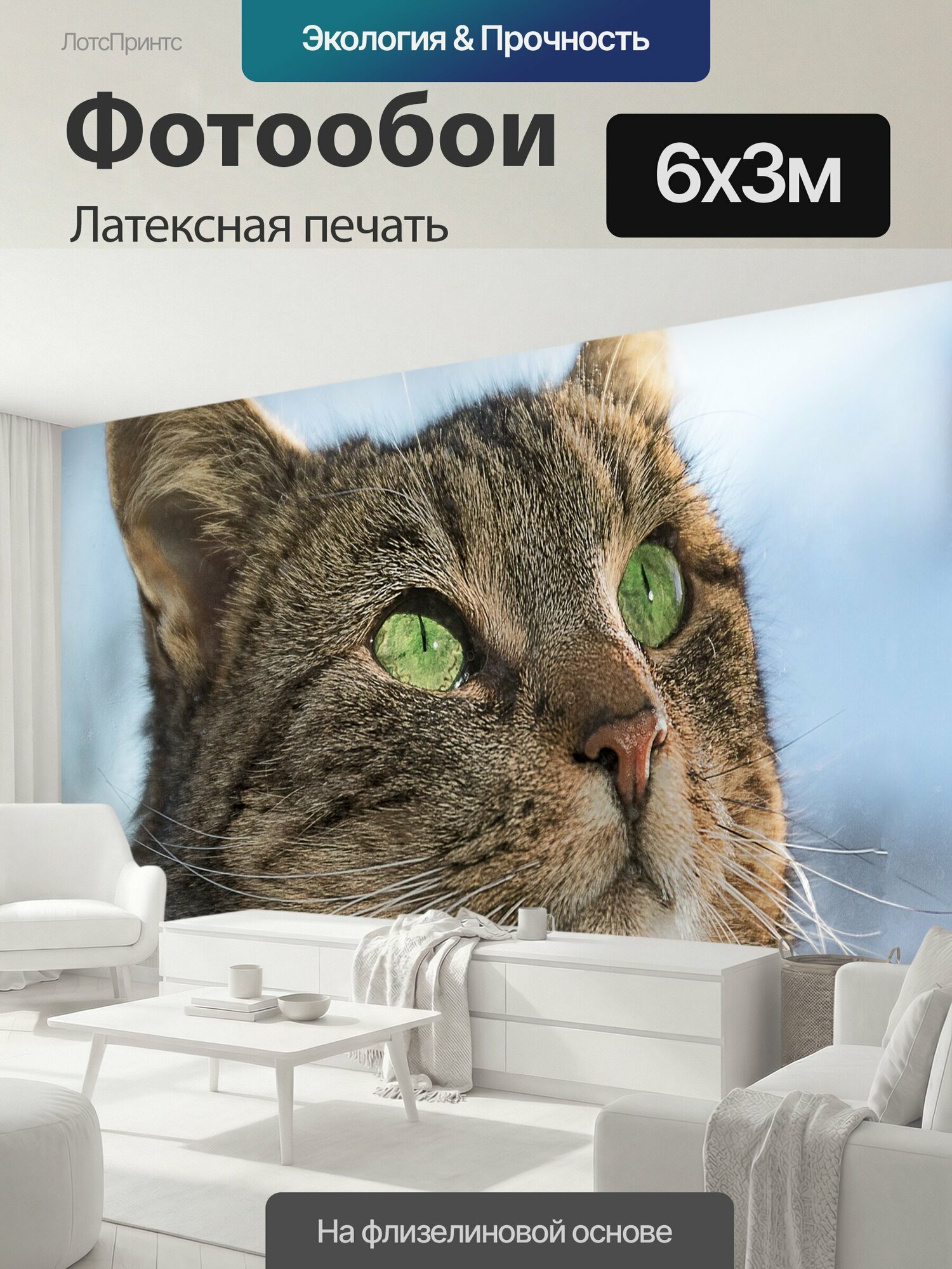 Фотообои моющиеся ударопрочные "Кот, стеклянная панель, зеленые глаза" 600x300 см. латексная печать