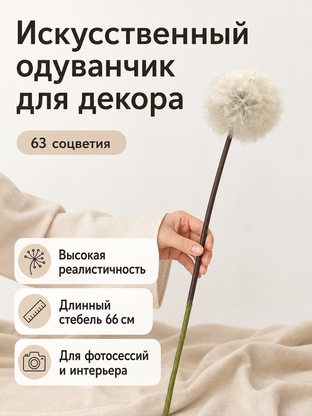 Стабилизированные цветы Хризантема 1 шт белый