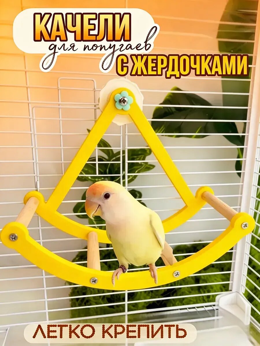 Качели для попугаев