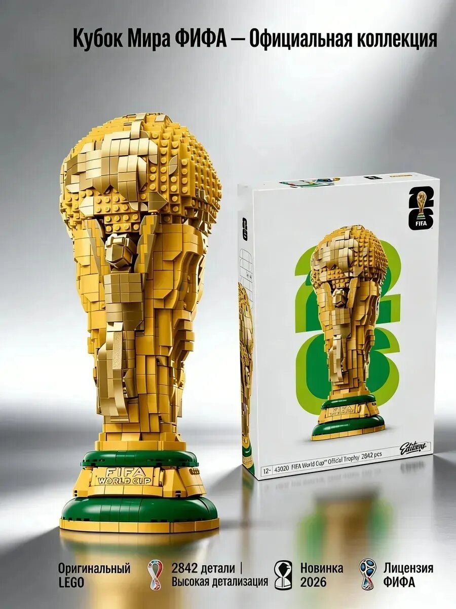 Editions Football Официальный Кубок мира FIFA 43020