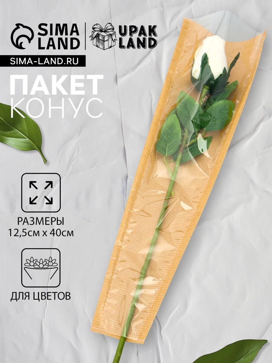 Конус для цветов, крафтовый с пленкой, 12.5×4×40 см, крафтовый