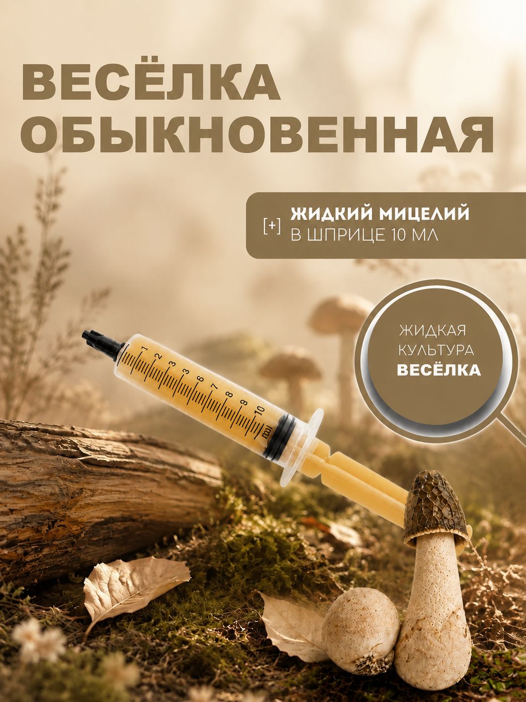 Жидкий мицелий Весёлка обыкновенная - 10мл.