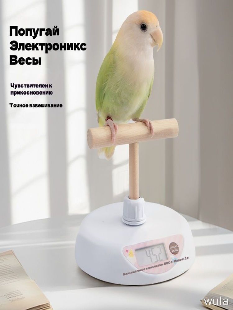 Весы электронные для попугаев с подставкой, точные цифровые весы для птиц, макс. вес 500 г, шаг 1 г, для дома и ветеринарии
