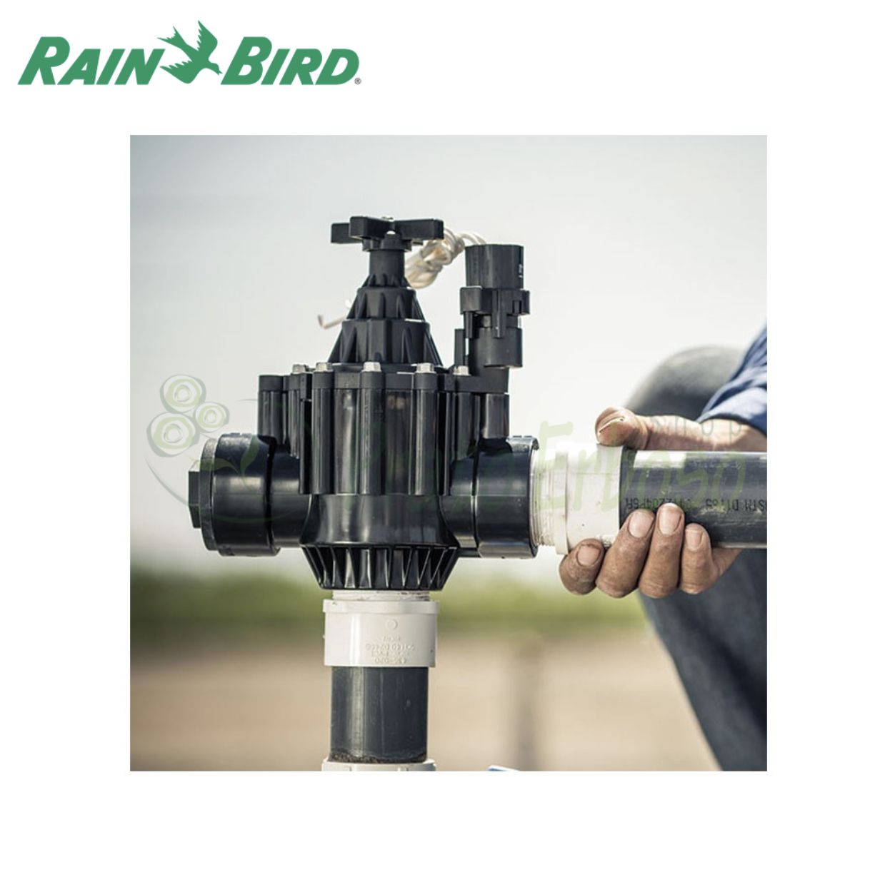 Rain Bird Предохранительный клапан для системы полива, ABS пластик