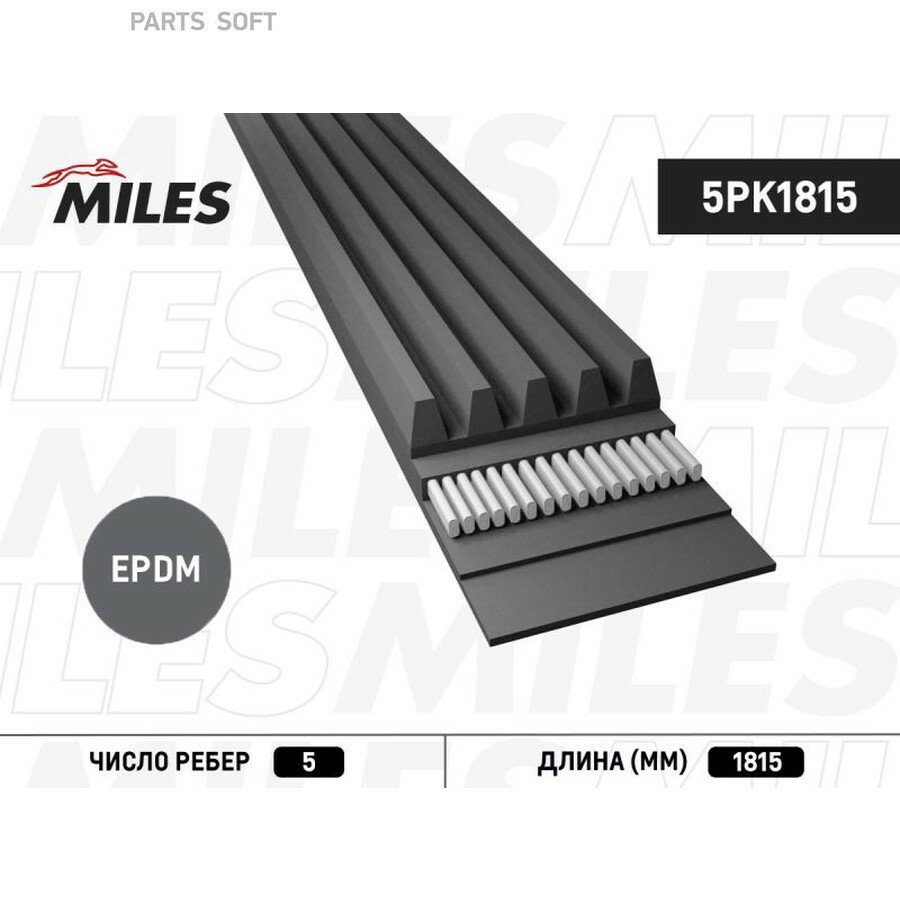 Ремень поликлиновой MILES MILES 5PK1815 | цена за 1 шт