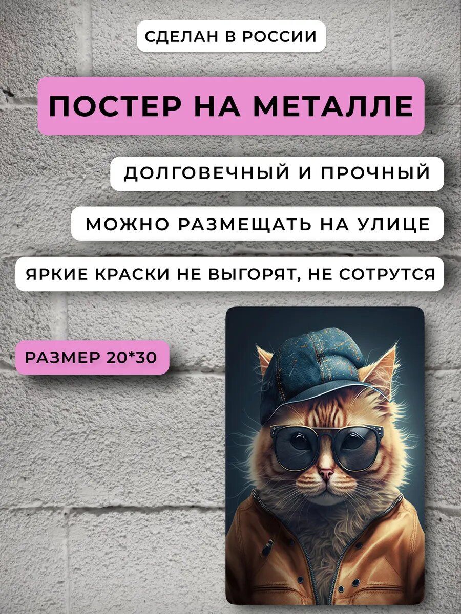 Постер котик модник — фото 1