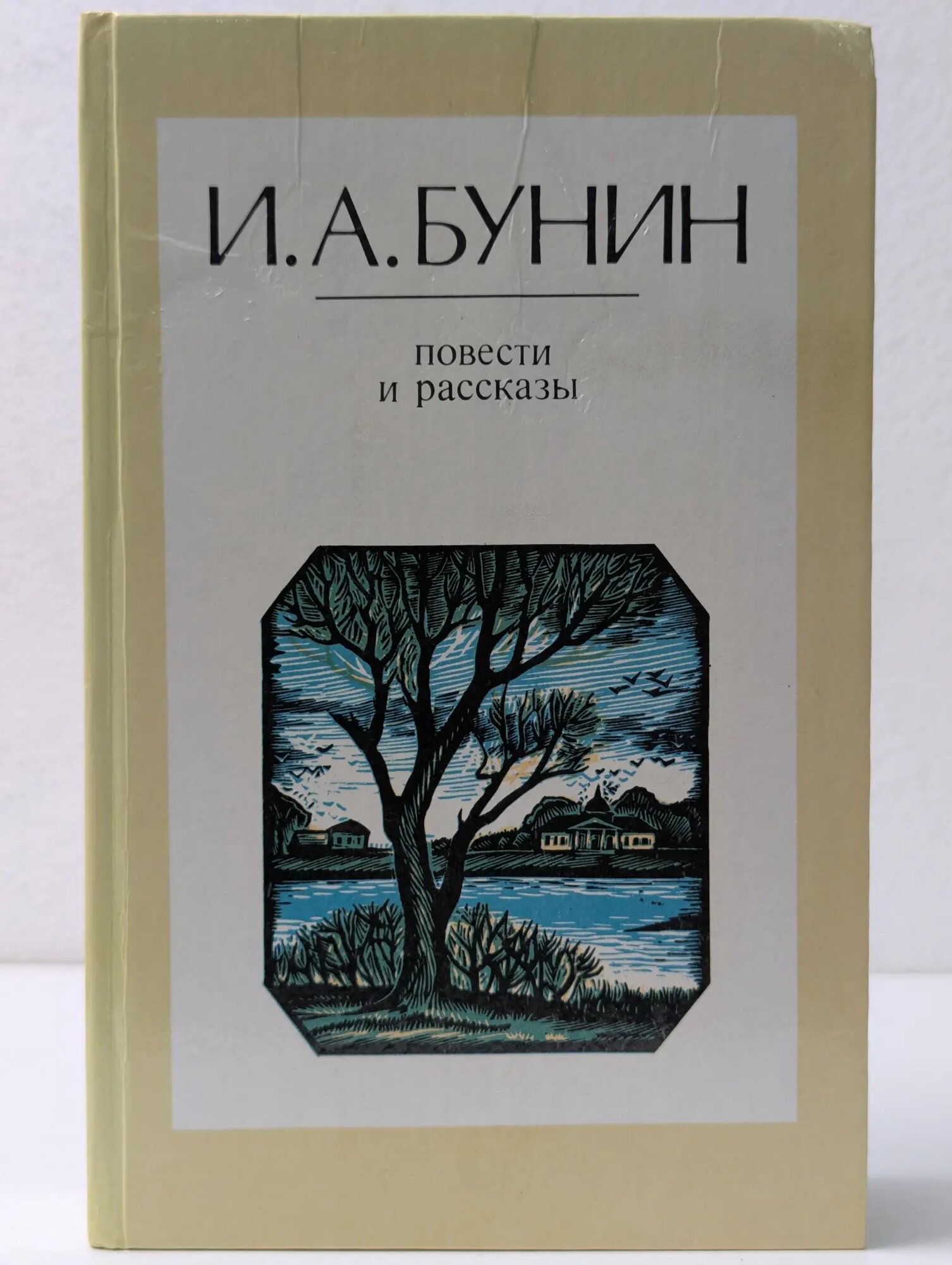 Мастера русской прозы XX века. И. Бунин. Повести и рассказы Бунин Иван Алексеевич 1985