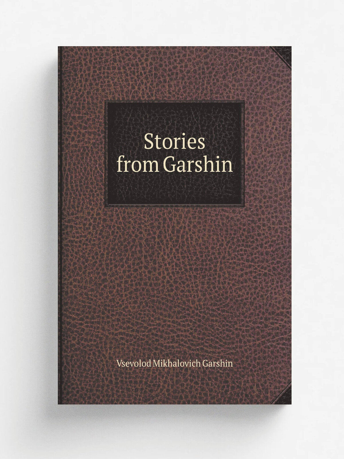 Stories from Garshin