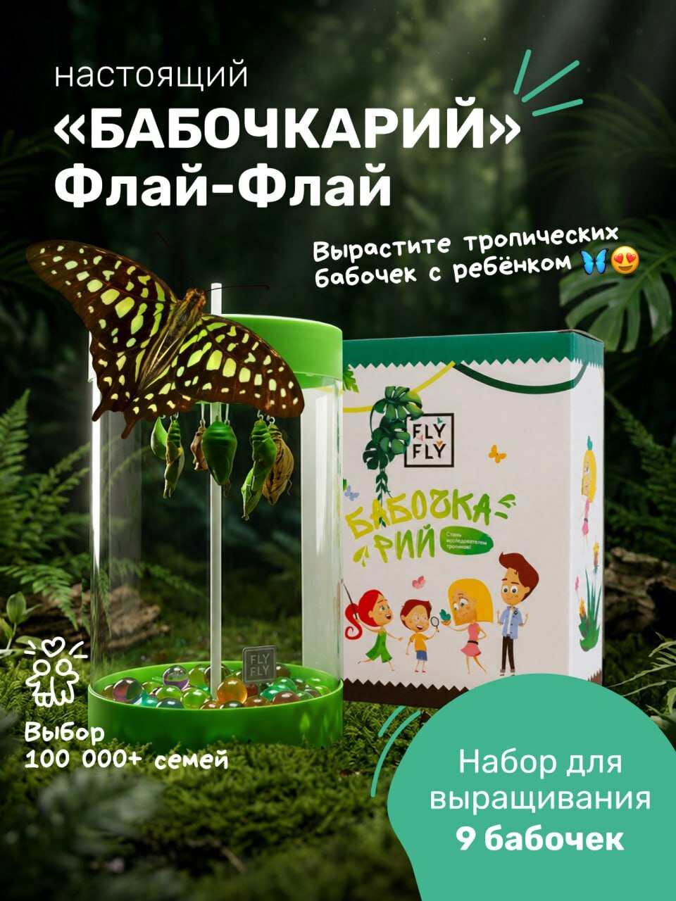 Домашняя ферма "Бабочкарий" Флай-Флай, набор опыты для выращивания 9 бабочек, развивающие игрушки