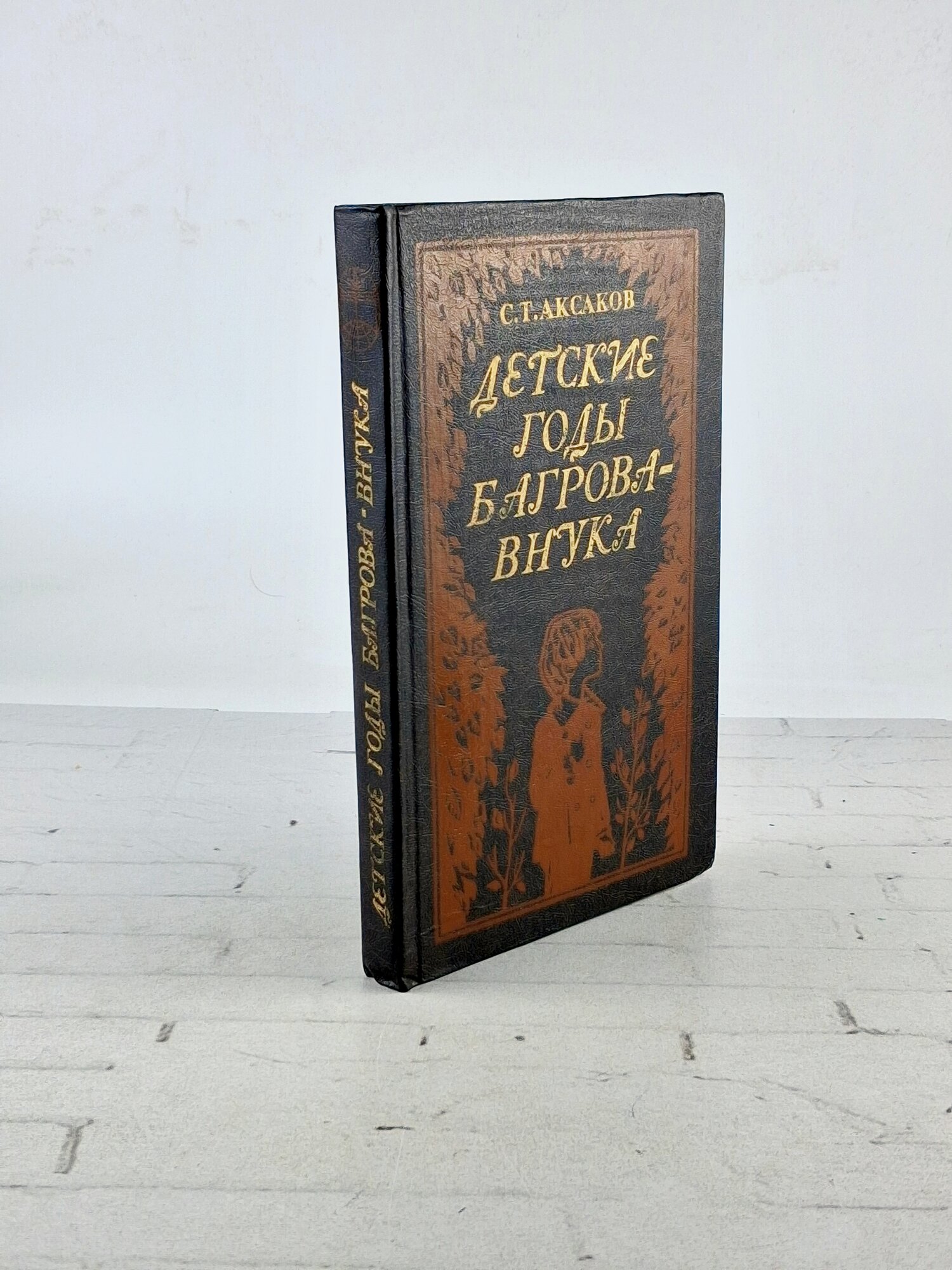 Детские годы Багрова внука. / Сергей Аксаков. 1982