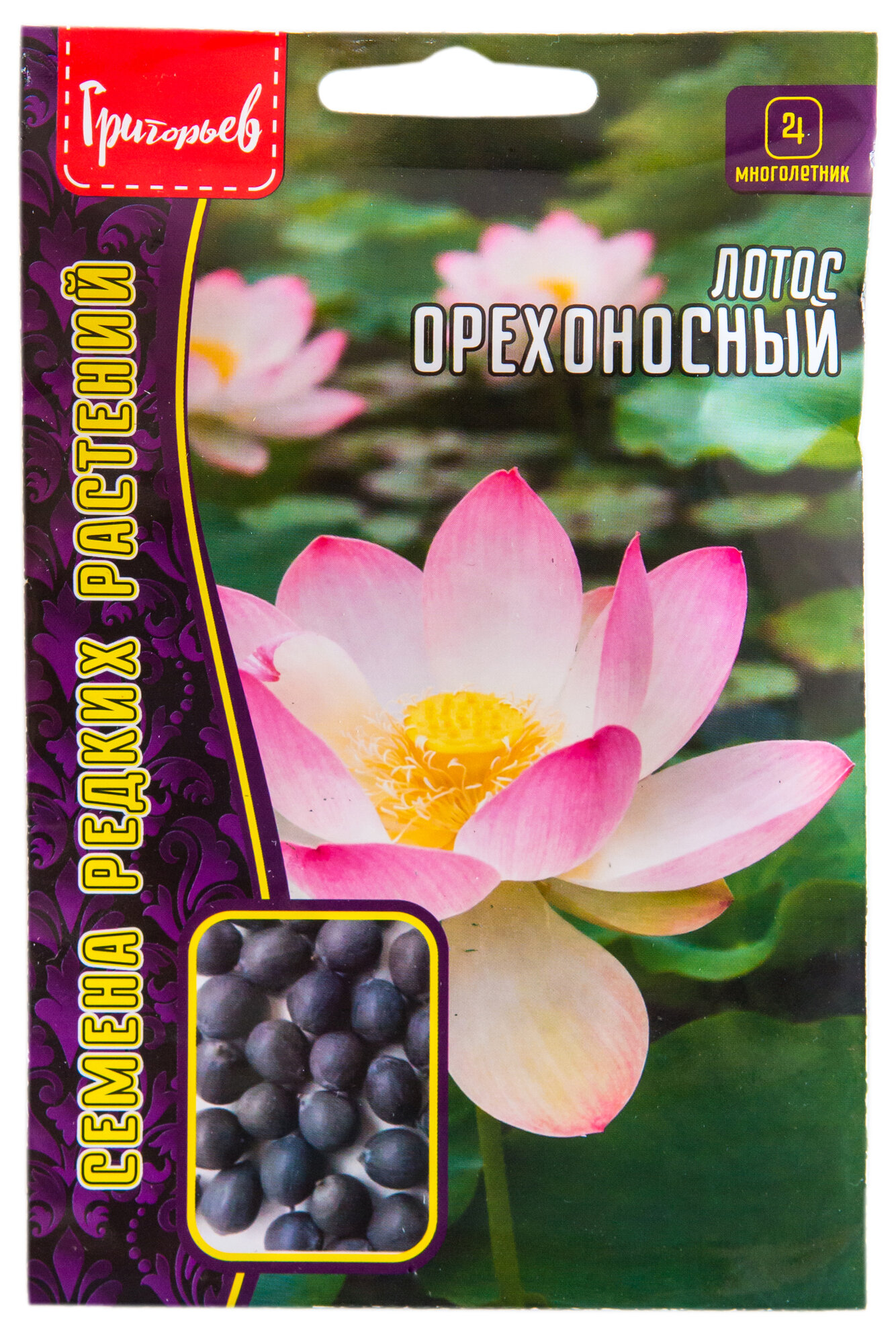 Семена Лотос орехоносный, 2 шт, семена редких и экзотических растений