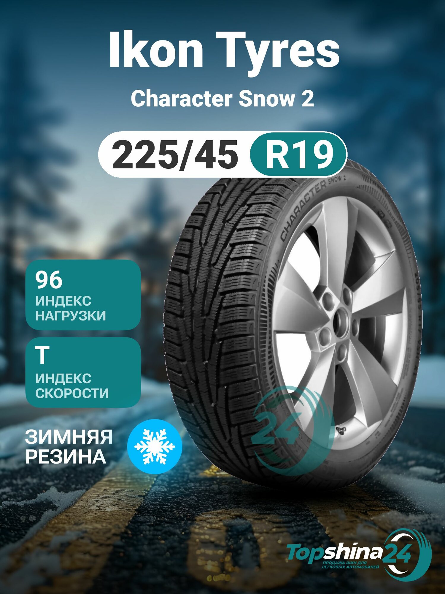 Шины зимние Ikon Tyres Character Snow 2 225/45 R19 T96