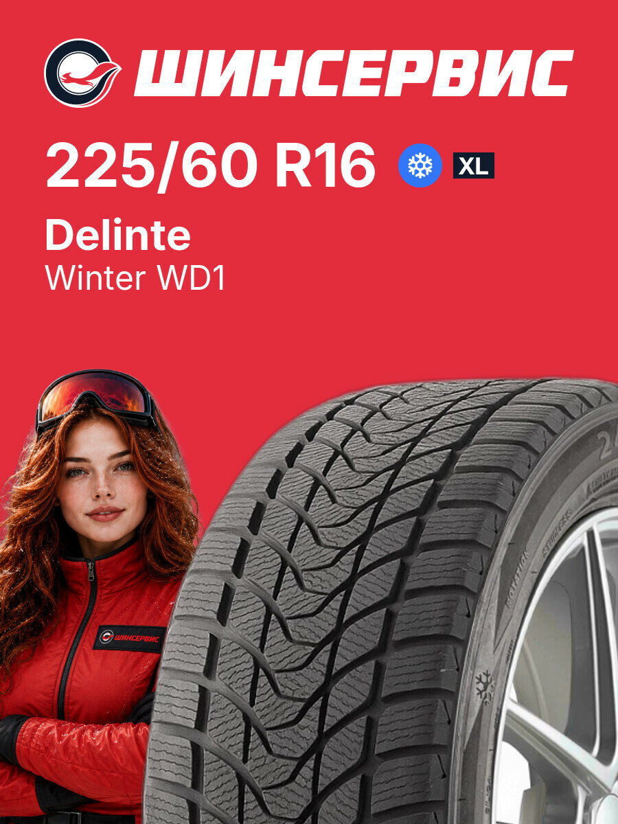 Зимняя нешипованная шина Delinte Winter WD1 225/60 R16 102 T, зимняя автомобильная резина