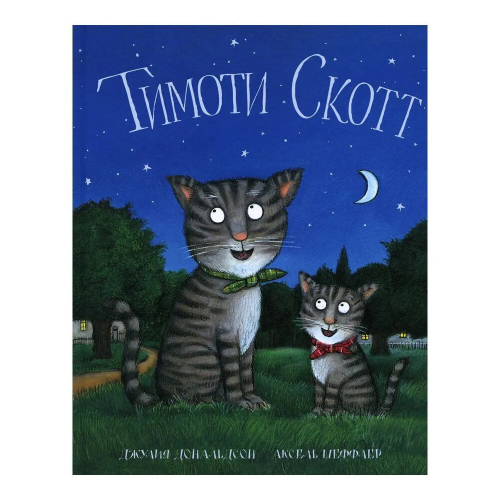 Книга Тимоти Скотт (Джулия Дональдсон и Аксель Шеффлер)