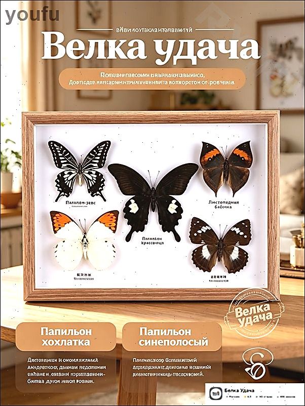 Фоторамка с настоящей бабочкой, сувенир, декор для дома, учебный материал для детей