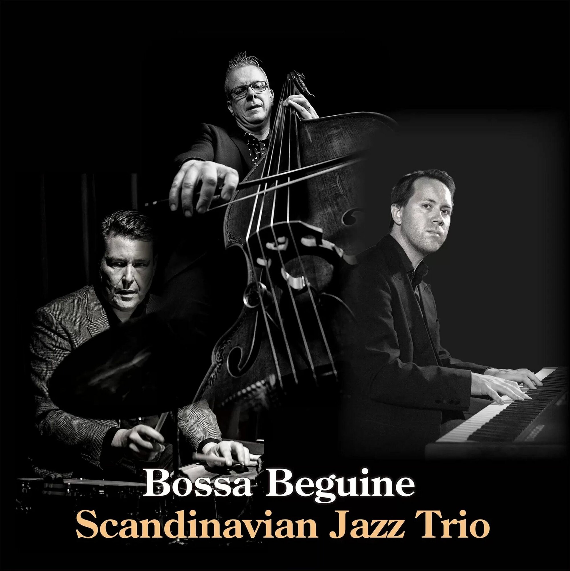 Виниловая пластинка Scandinavian Jazz Trio - Bossa Beguine (Audiophile) (2LP) 2026, Gatefold, Japan, Limited Edition, Venus Hyper Magnum Sound Masterpiece Series