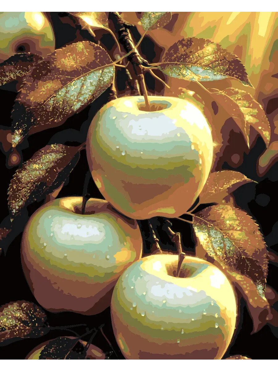 Картина по номерам 30x40 Яблоки на ветке