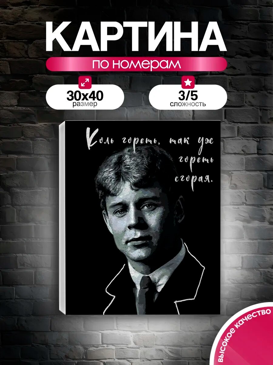 Картина по номерам 30x40 Сергей Есенин