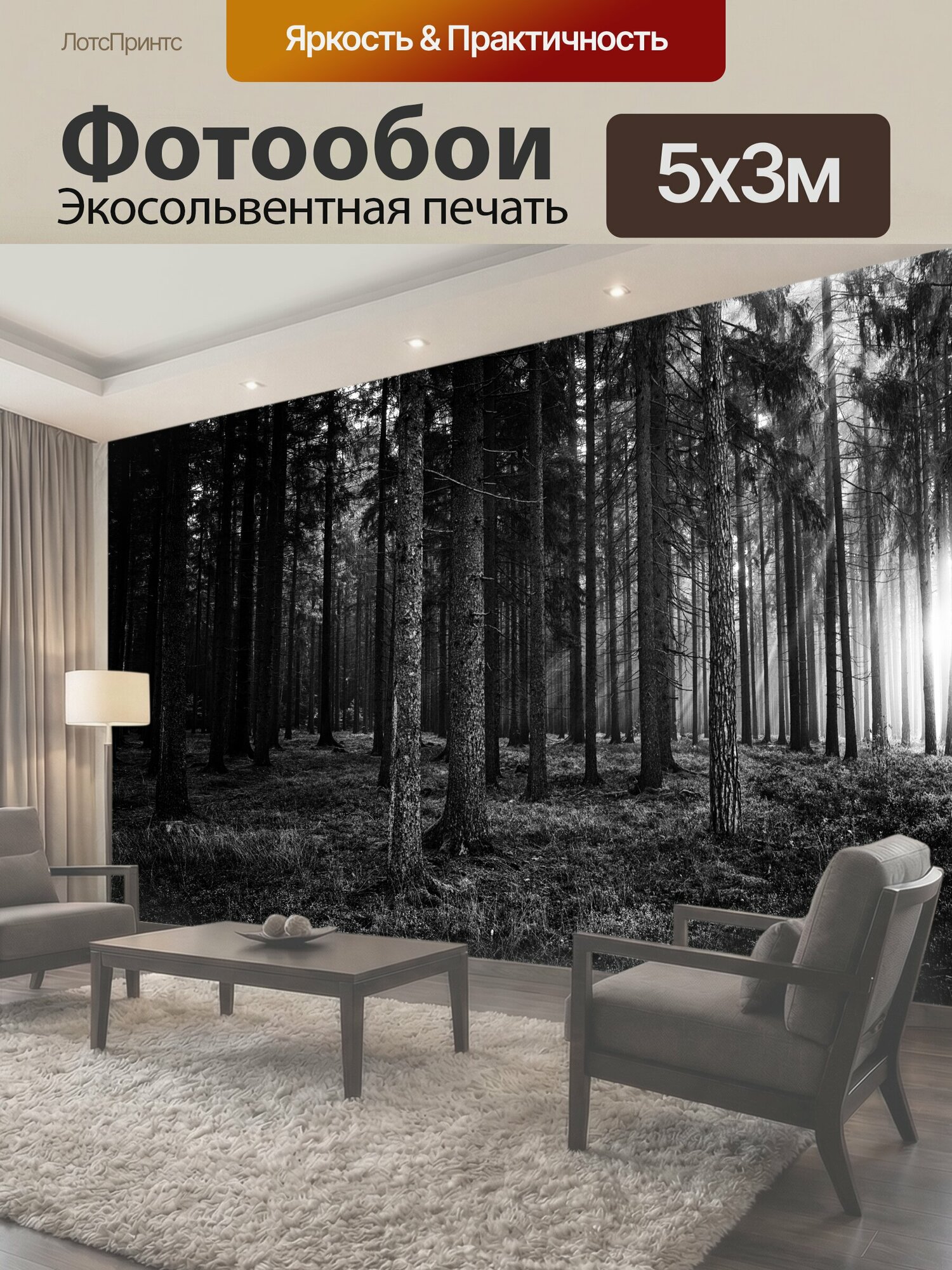 Фотообои "Солнечные лучи в лесу III солнечные лучи в слабом тумане солнце свет луч лучи черный whitw черное и белое природа настроение." 500x300 см. экосольвентная печать
