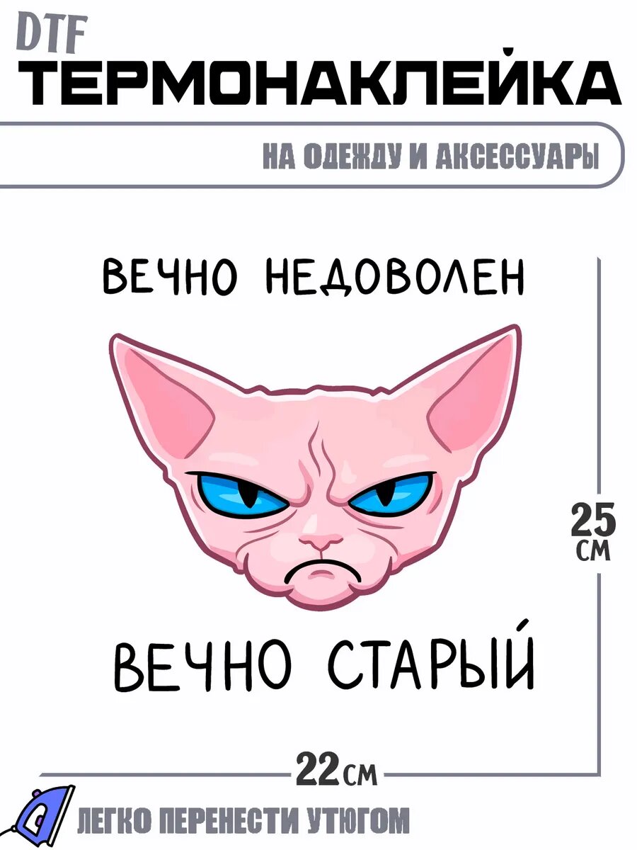 Термонаклейка недовольный кот