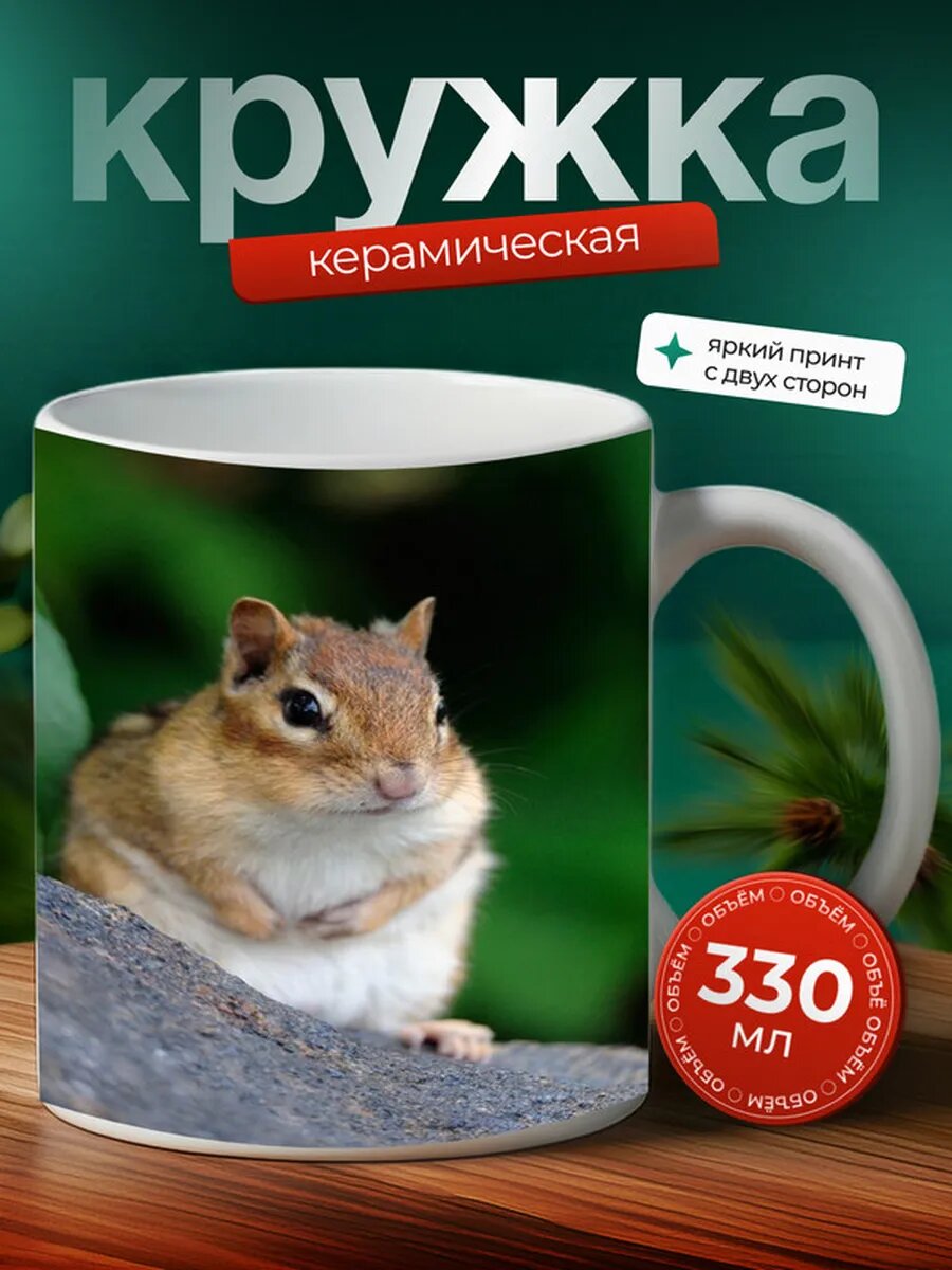 Кружка Бурундук животное 16,
