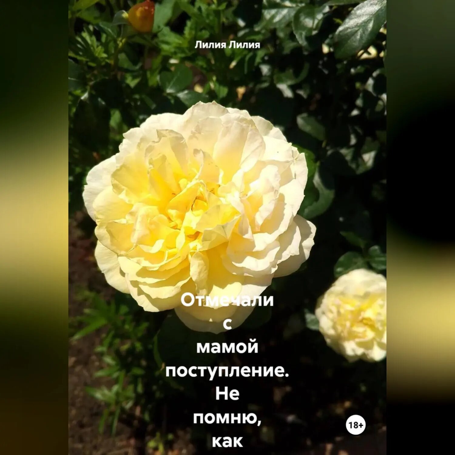 Отмечали с мамой поступление. Не помню, как оказалась в кровати с дядькой. Забеременела от него [Аудиокнига]