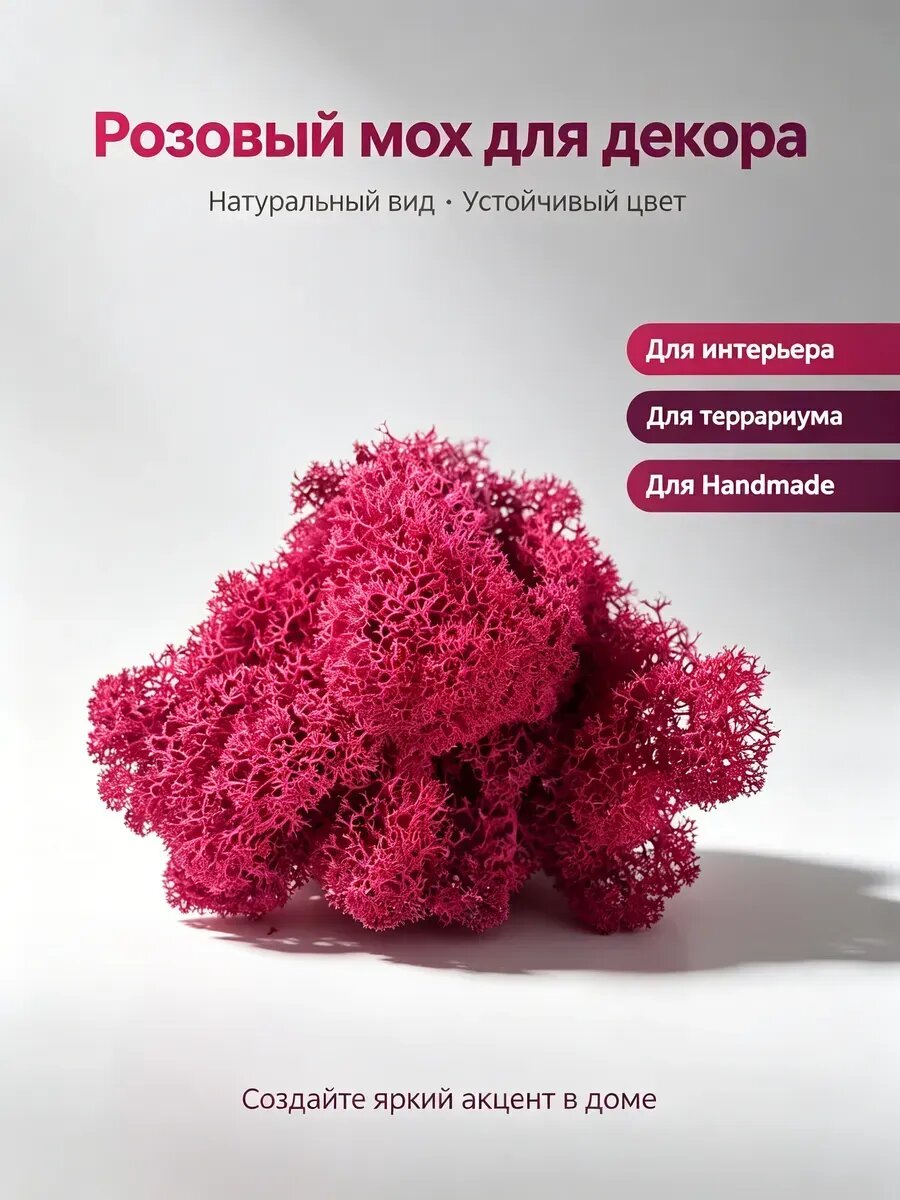 Вечный мох diy Micro Landscape 500 г