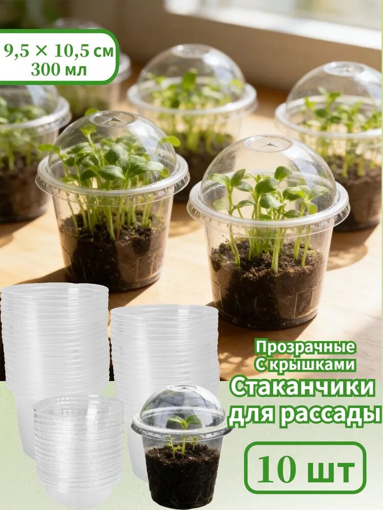 Кассета для рассады